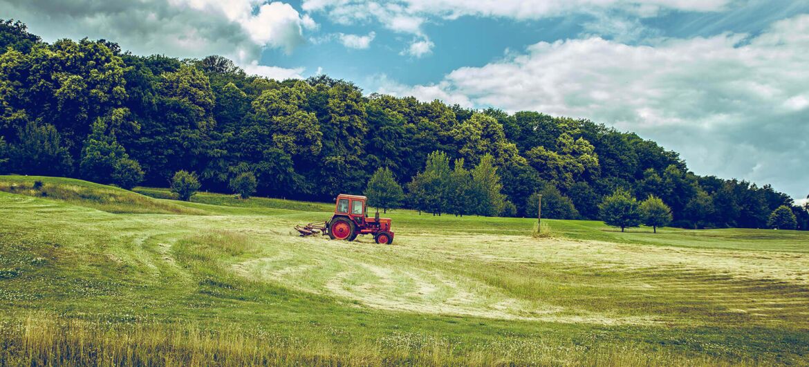 the Farming season – Agaçi Greens