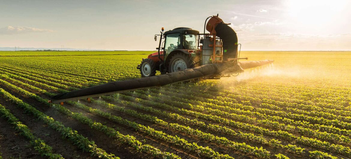 Natural way of agriculture – Agaçi Greens